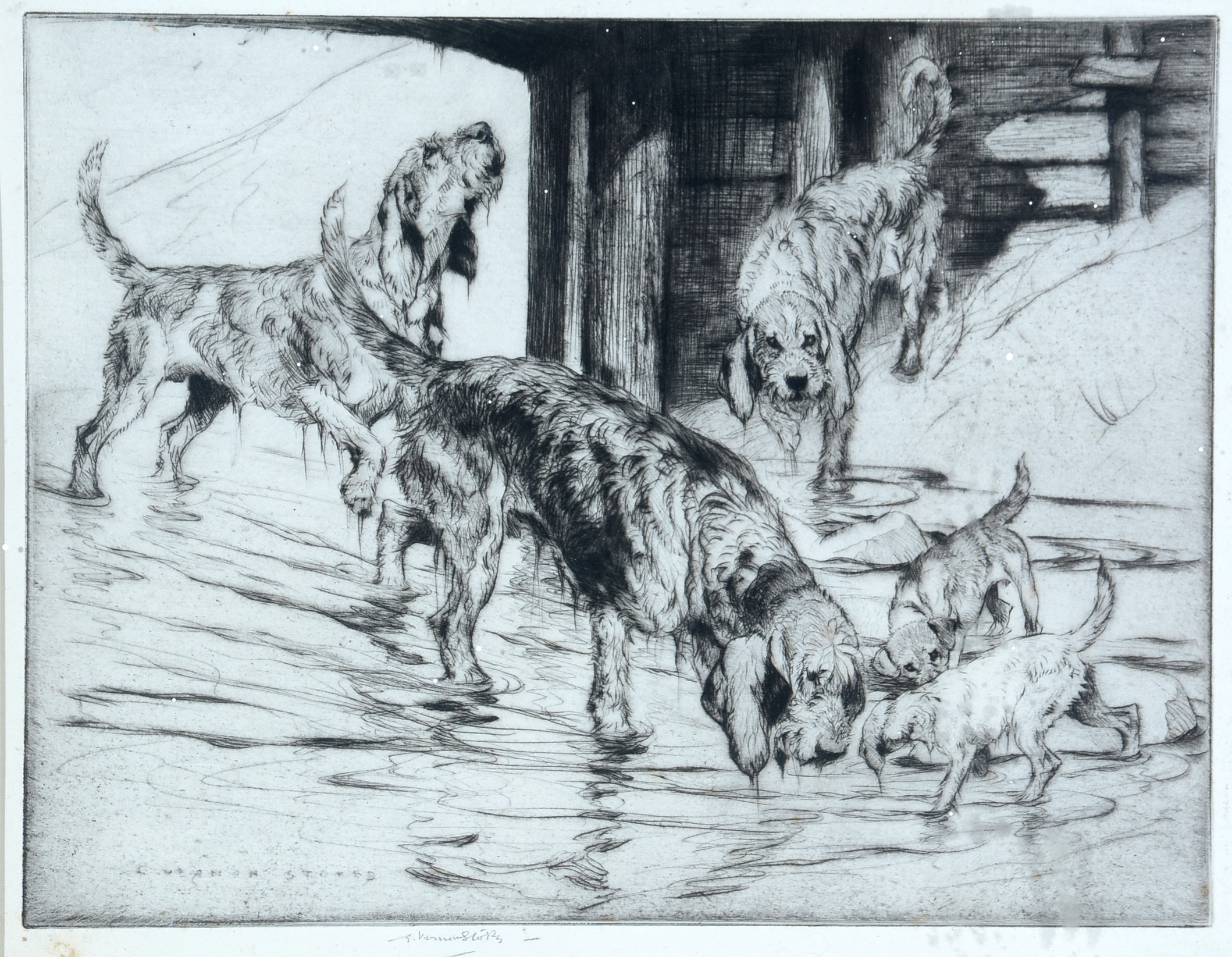 George Vernon Stokes | Otter Hounds and Pups | MutualArt