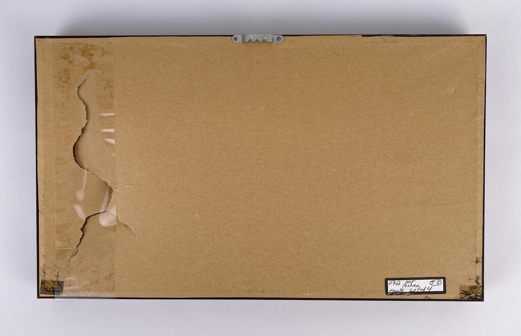 Ron Jenkins | Montana Golden Trout Print | MutualArt