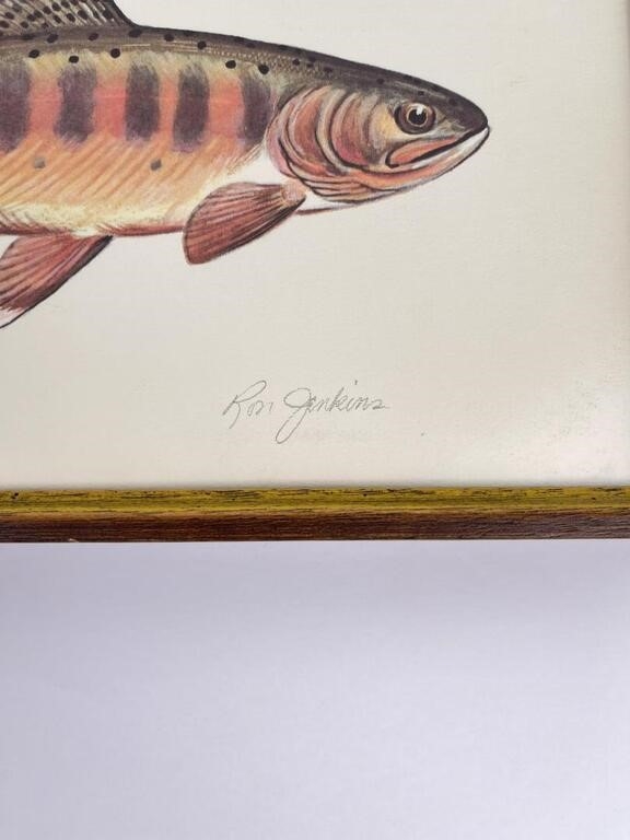 Ron Jenkins | Montana Golden Trout Print | MutualArt