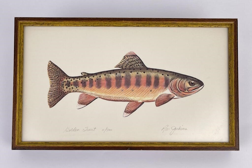 Ron Jenkins | Montana Golden Trout Print | MutualArt