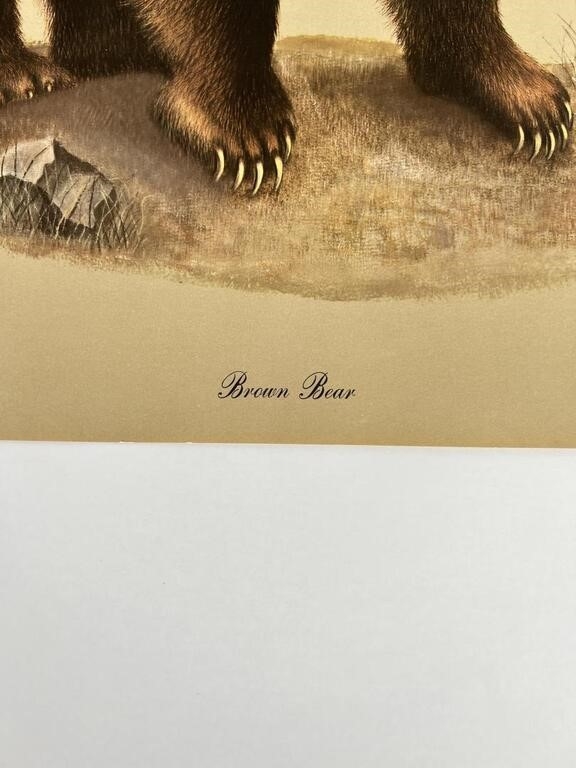 Iwogene Farnsworth | Bear Prints | MutualArt