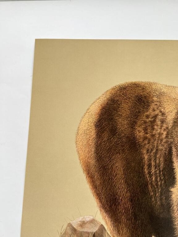 Iwogene Farnsworth | Bear Prints | MutualArt