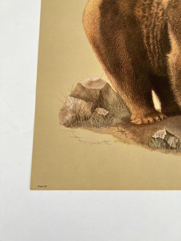 Iwogene Farnsworth | Bear Prints | MutualArt
