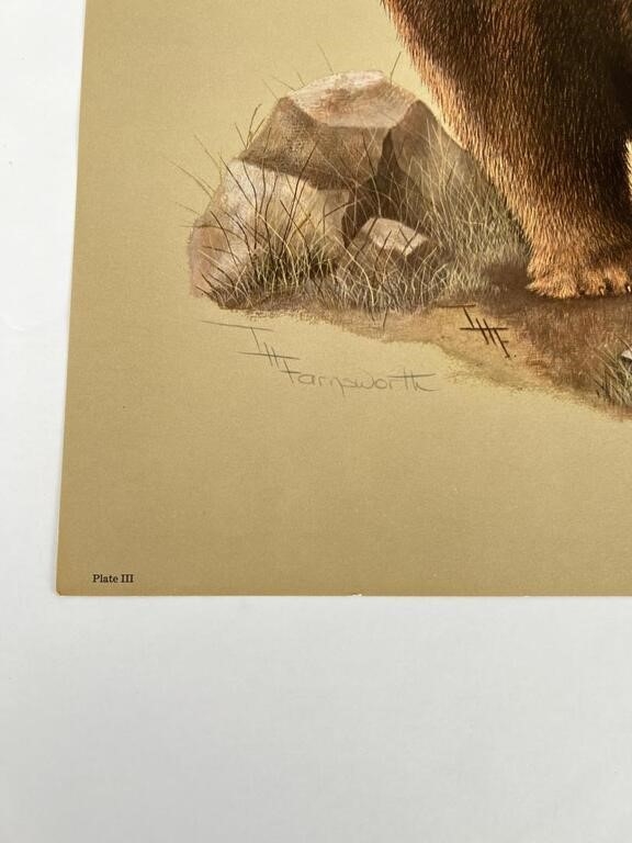 Iwogene Farnsworth | Bear Prints | MutualArt