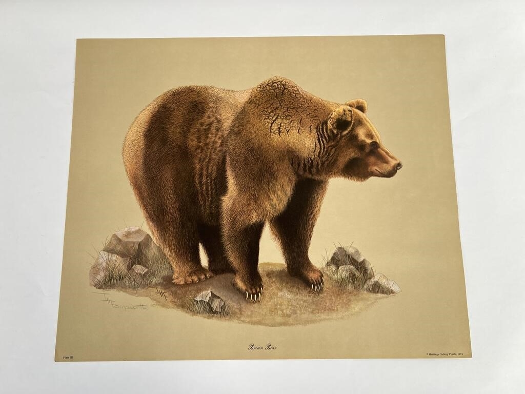 Iwogene Farnsworth | Bear Prints | MutualArt
