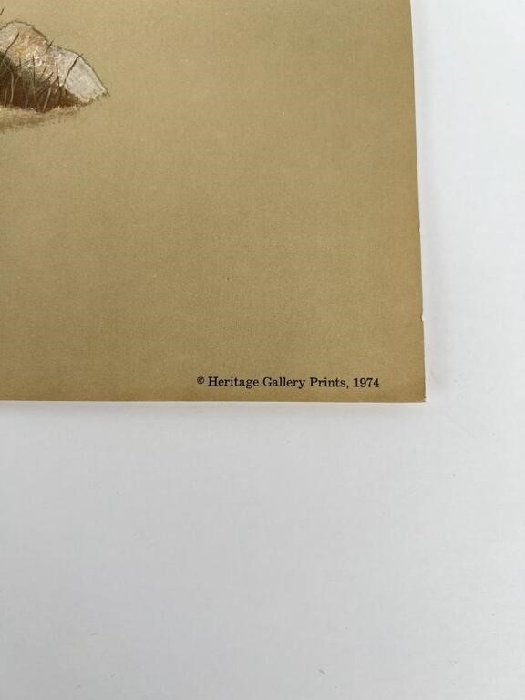 Iwogene Farnsworth | Bear Prints | MutualArt