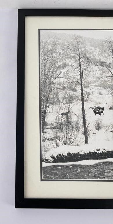 Garry Seidel | Garry Seidel Black and White Photograph | MutualArt