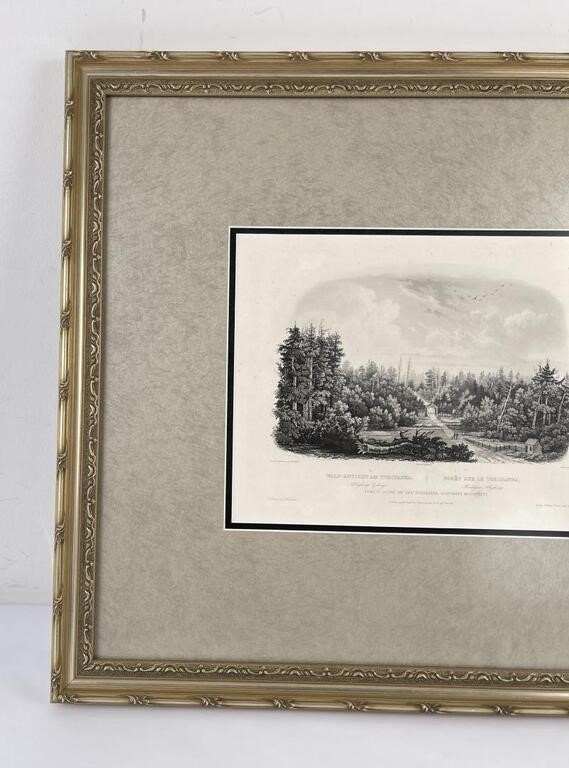 Karl Bodmer | Forest Tobihanna Alleghany Mountains | MutualArt