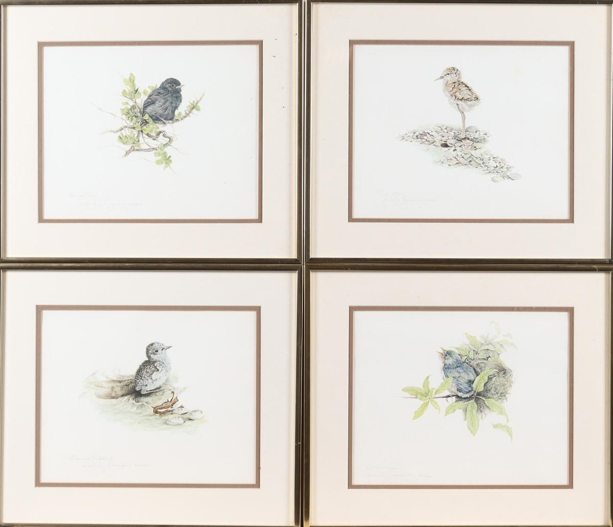 Merrilyn Jaquiery | A Collection of Four Merrilyn Jaquiery Prints ...