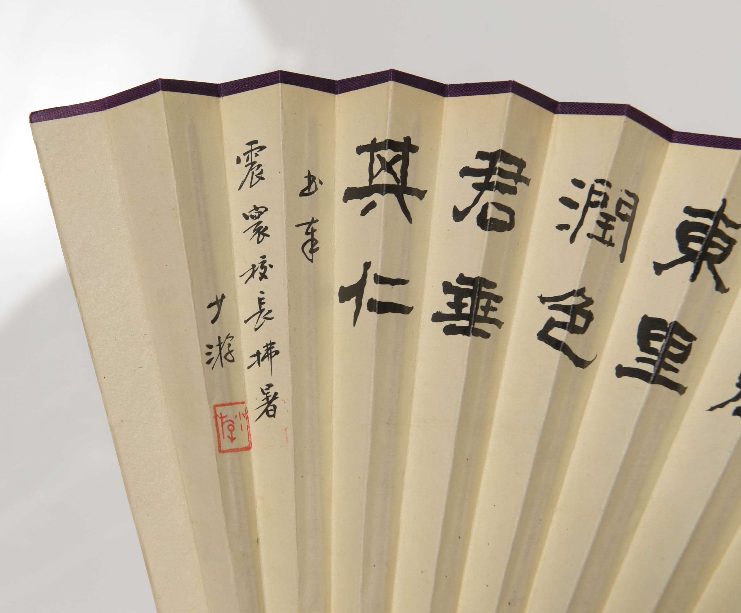 Shao You | A Chinese fan with a painting of an eagle and a pine tree ...