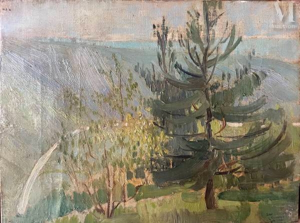 Luc Lafnet | Paysages | MutualArt