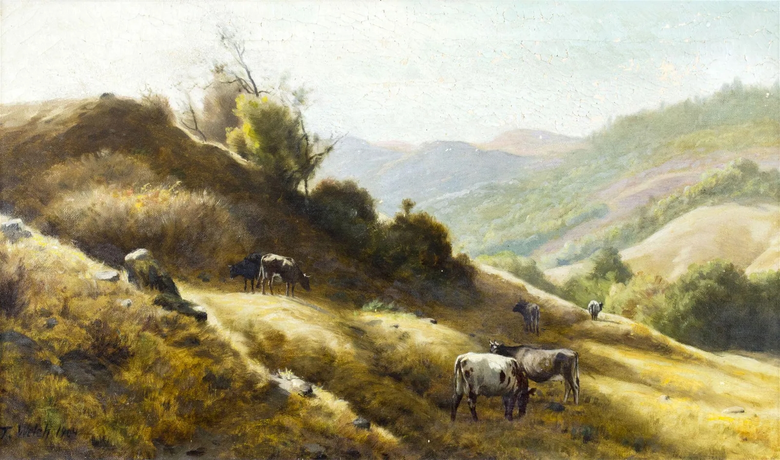 Thaddeus Welch | Hilly Landscape with Cows (1904) | MutualArt