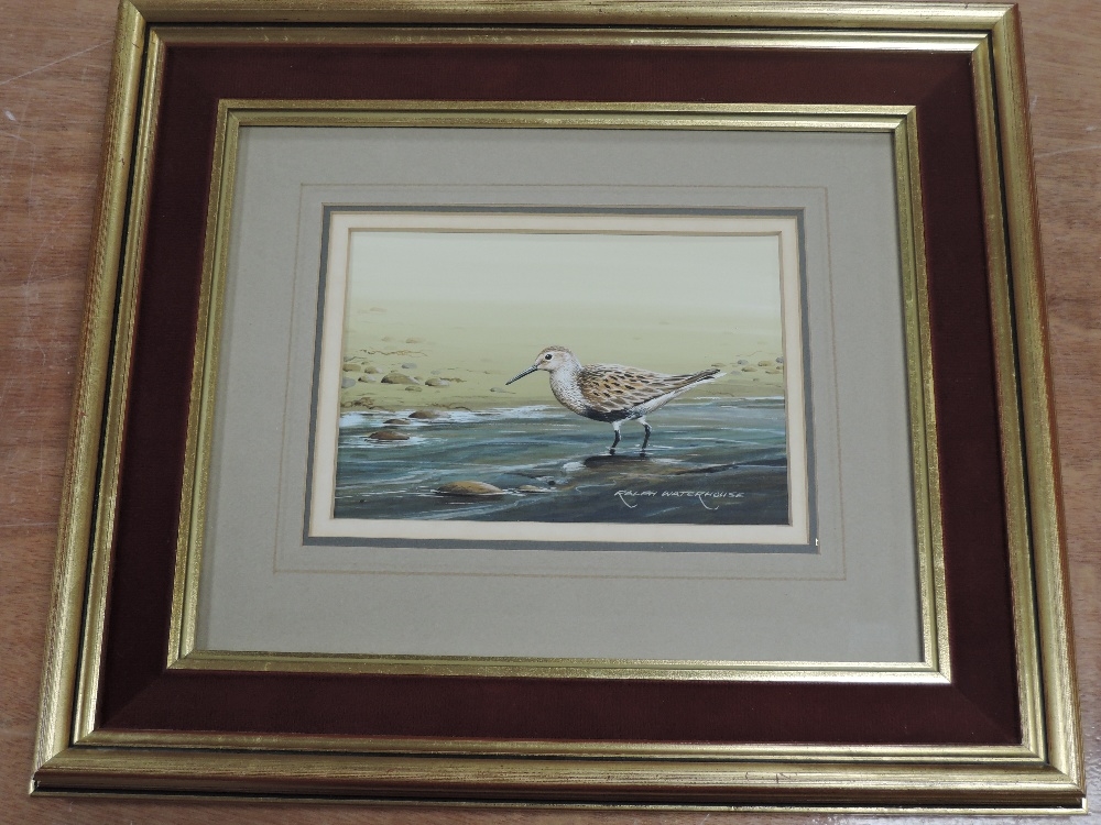 Ralph Waterhouse | Sandling | MutualArt