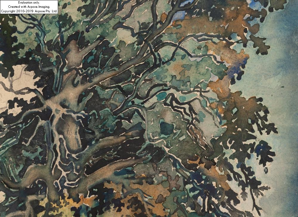 Henryk Dabrowski | Stary dąb (1950) | MutualArt