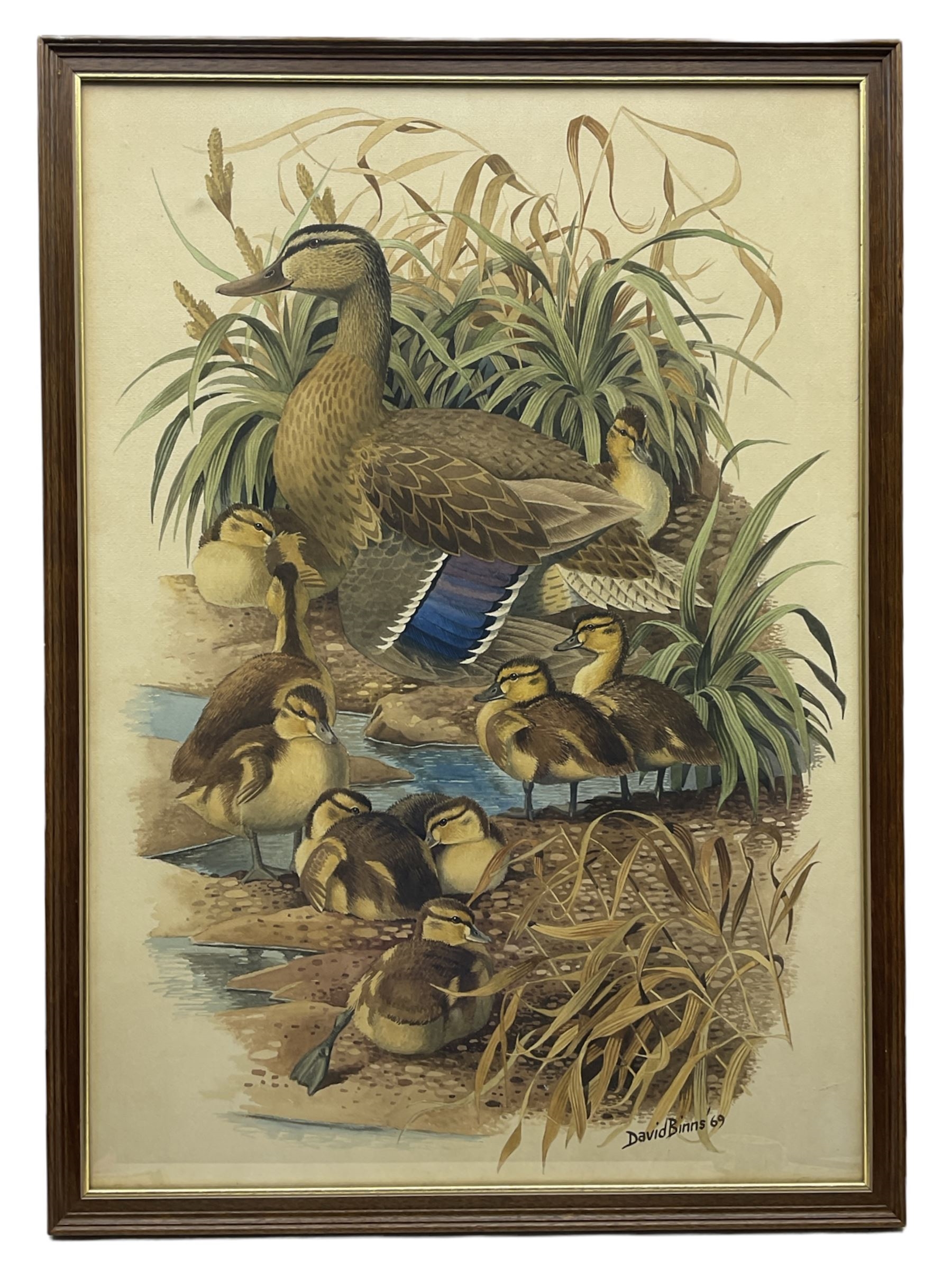 David Binns | Mother Duck and Ducklings (1969) | MutualArt