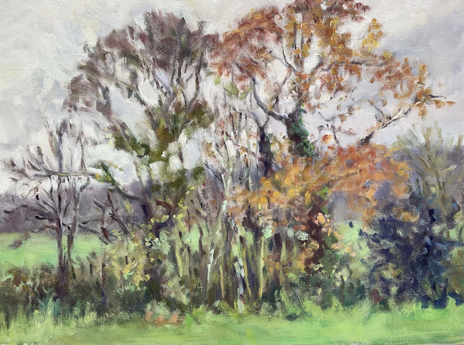 Catherine Tyler | Trees by the Mere - Scarborough | MutualArt