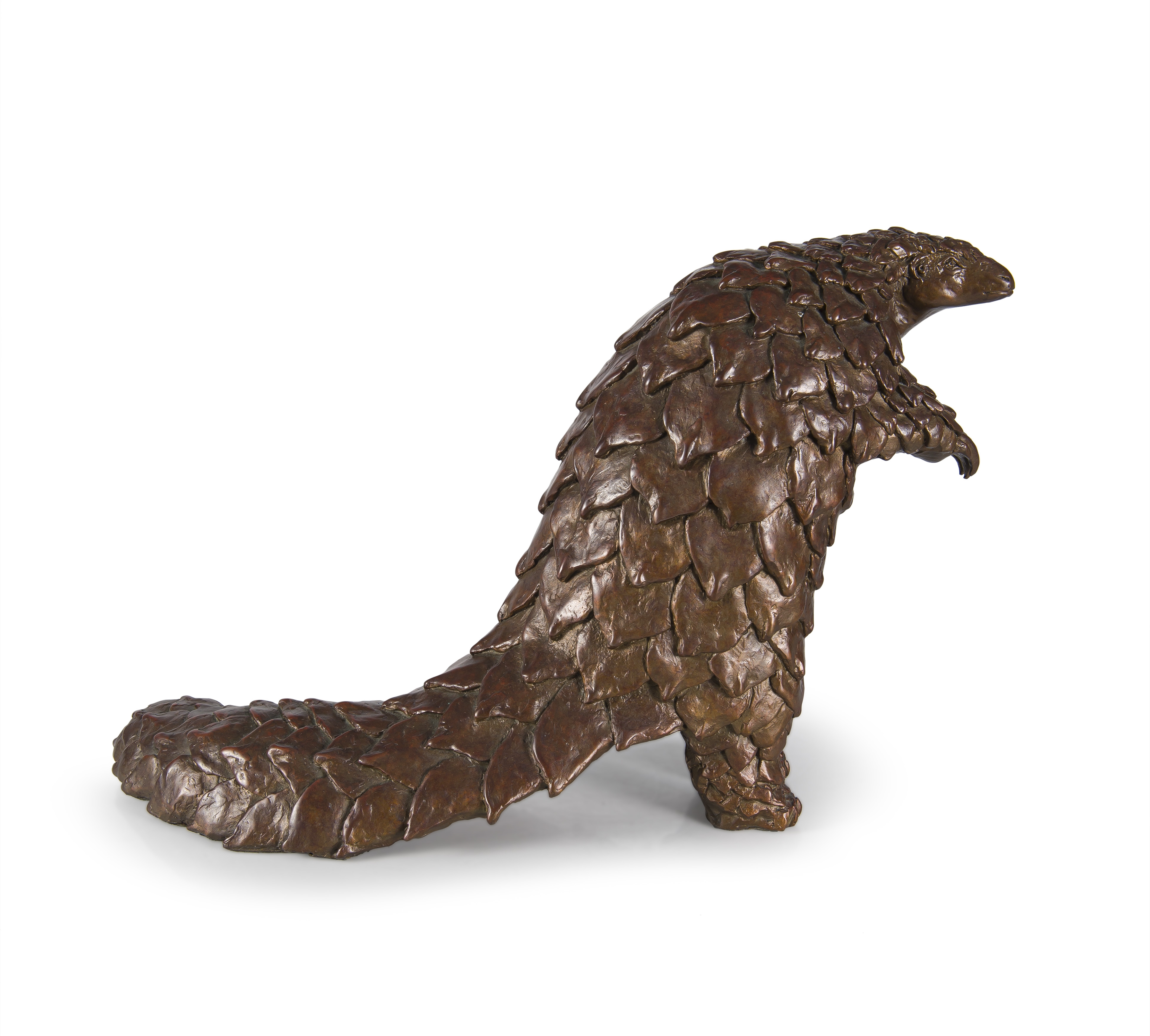 Bridget Randall | Pangolin 3 | MutualArt
