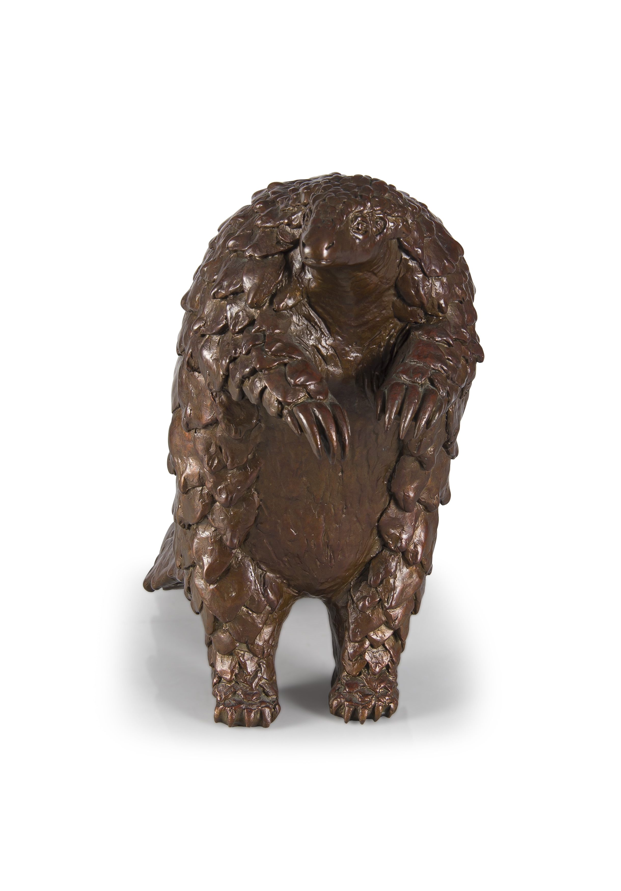 Bridget Randall | Pangolin 3 | MutualArt