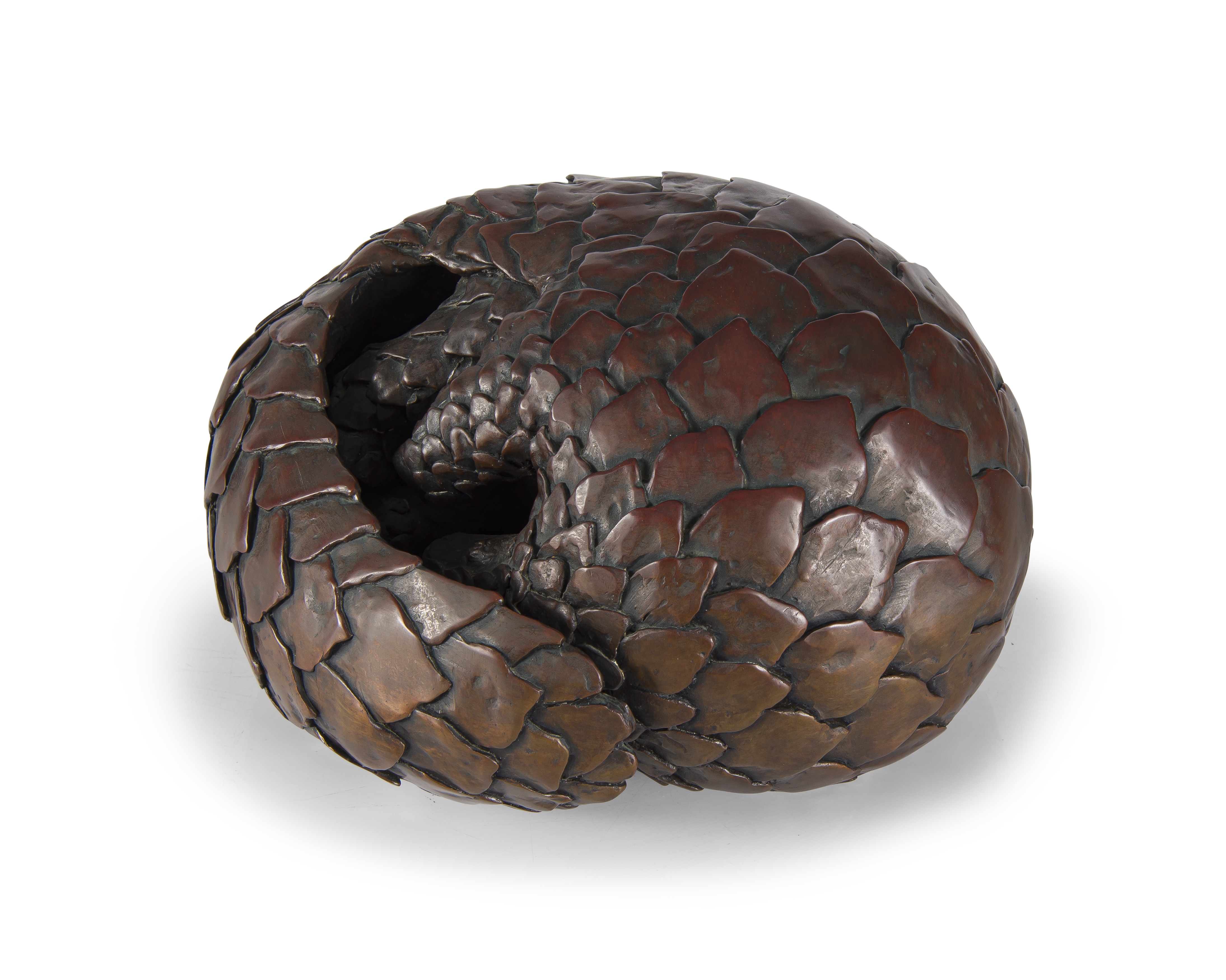 Bridget Randall | Pangolin sleeping | MutualArt