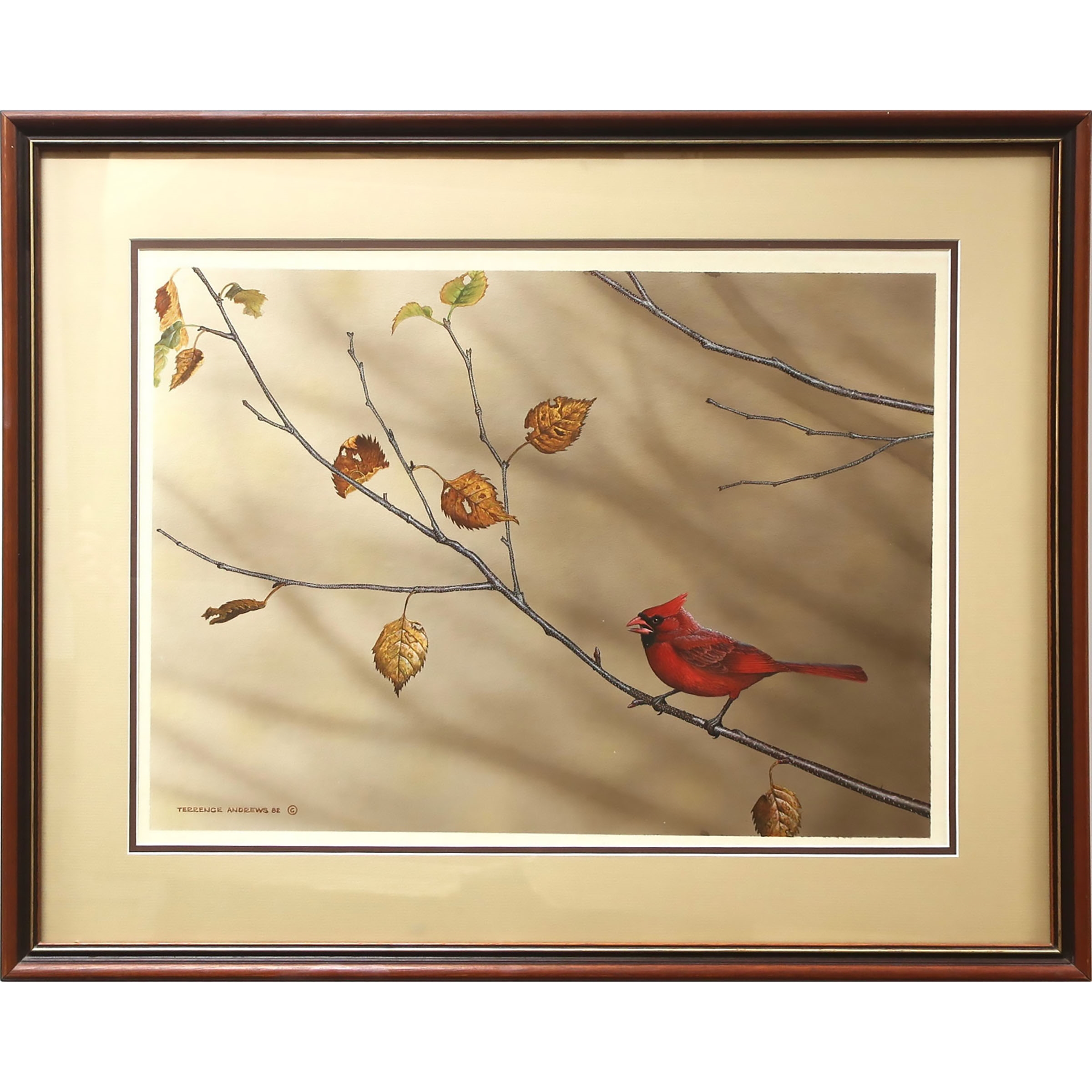 Terrence Andrews | RED CARDINAL (82) | MutualArt