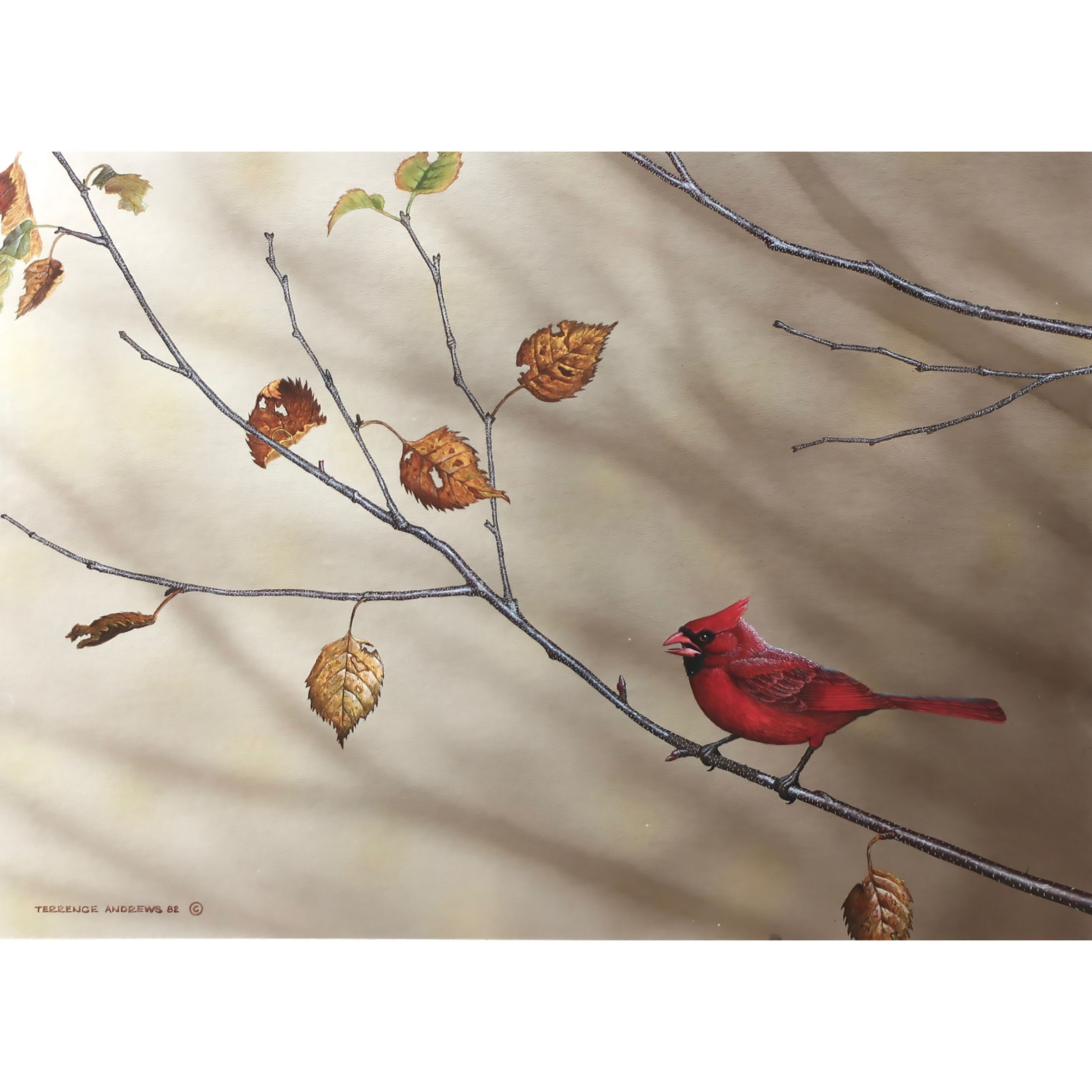 Terrence Andrews | RED CARDINAL (82) | MutualArt