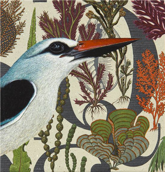 Alet Swarts | Biography