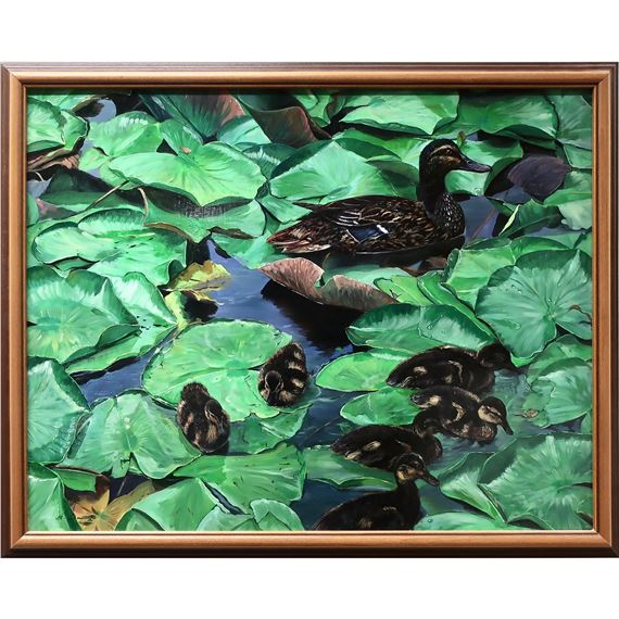 Aby Dadashi | MALLARDS AMONG WATER LILIES | MutualArt