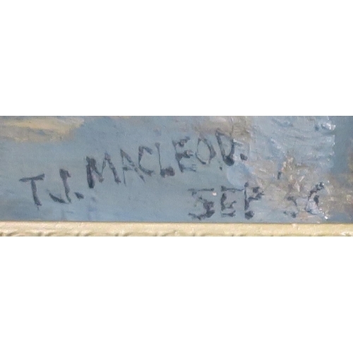 Torquil J. MacLeod | Coastal village | MutualArt