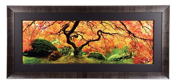 Peter Lik | TREE OF ZEN | MutualArt
