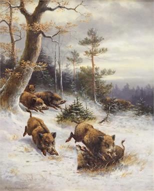 Moritz Müller | Wildschweingruppe ( Keiler ) auf winterlicher ...