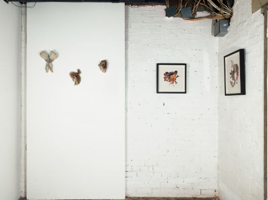 Michelle Laxalt: The split of... | Exhibitions | MutualArt