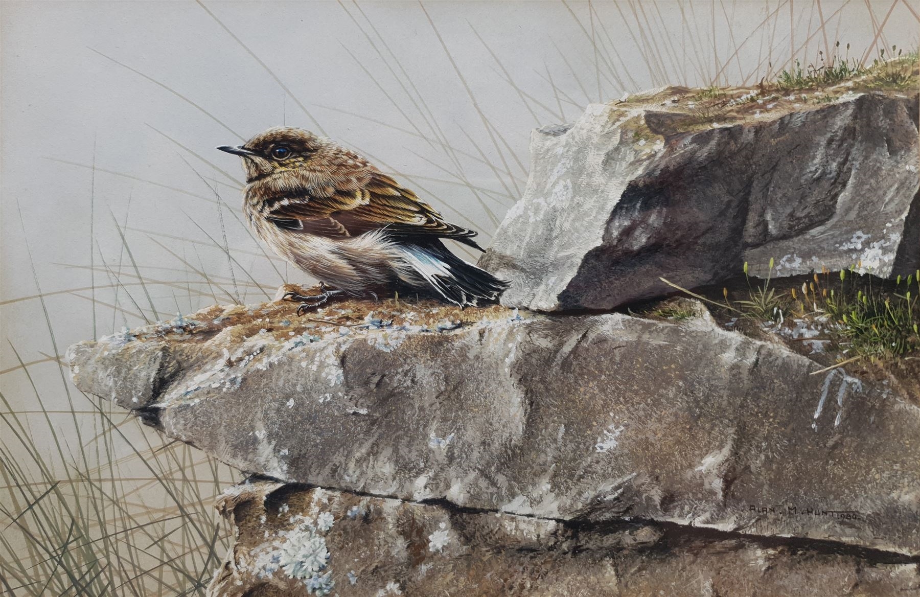 Alan M. Hunt | 'Juvenile Wheatear' (1980) | MutualArt