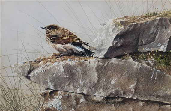 Alan M. Hunt | 'Juvenile Wheatear' (1980) | MutualArt