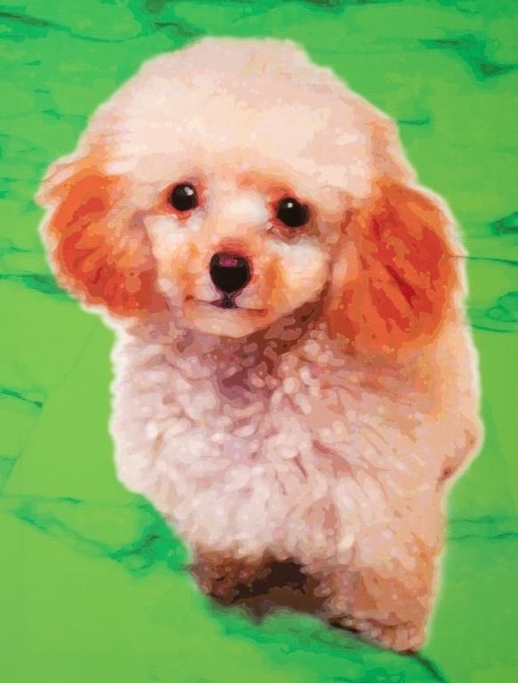 Andy Warhol | Portrait of a Dog | MutualArt