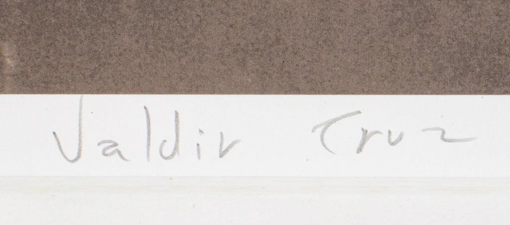 Valdir Cruz | Paisagem com Cavalo Branco | MutualArt