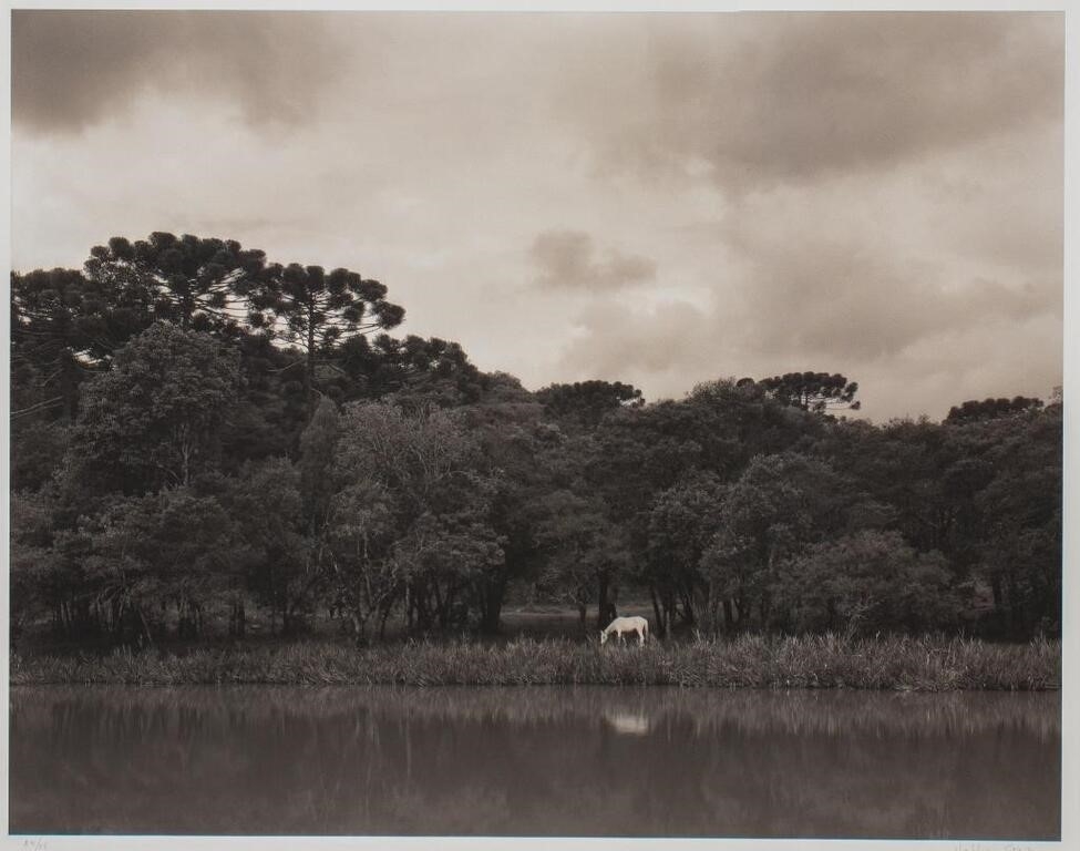 Valdir Cruz | Paisagem com Cavalo Branco | MutualArt
