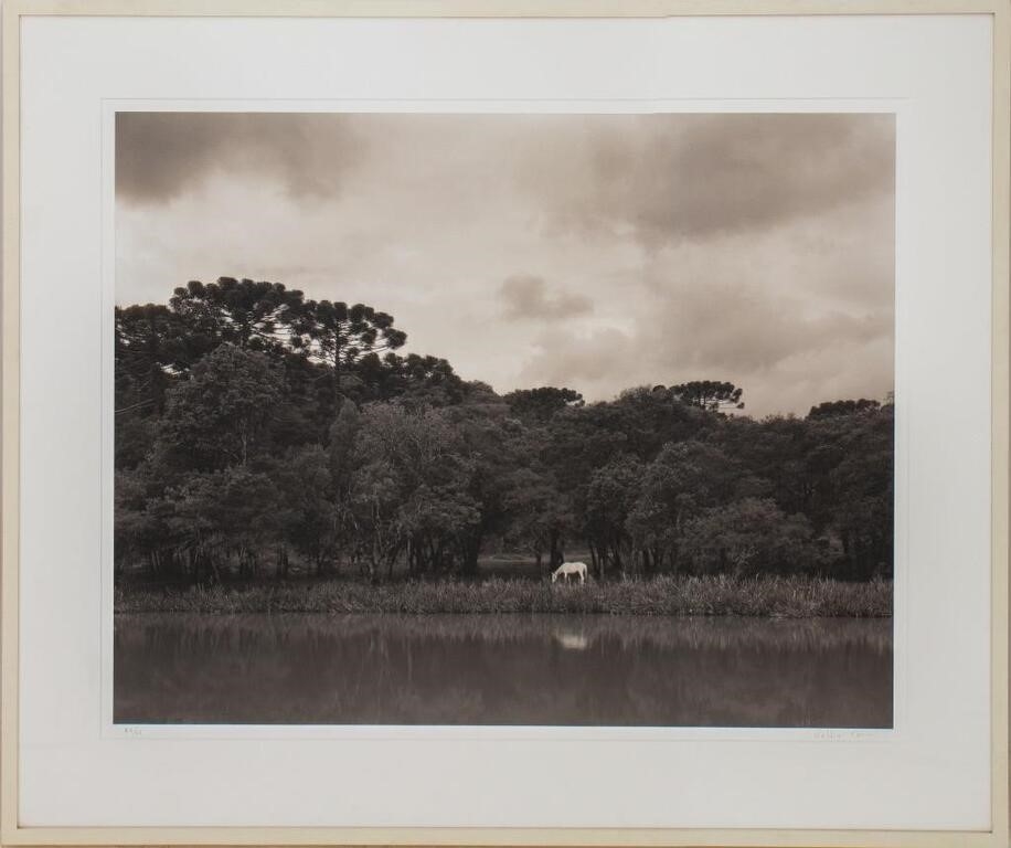 Valdir Cruz | Paisagem com Cavalo Branco | MutualArt