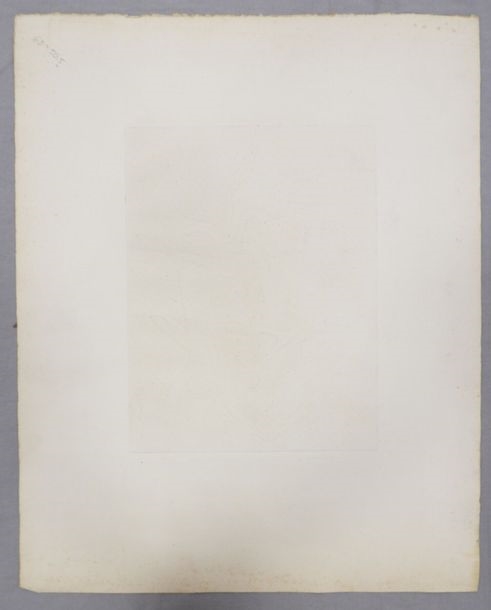 Gail Singer | Plant (1960) | MutualArt