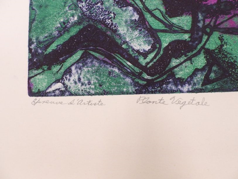 Gail Singer | Plant (1960) | MutualArt