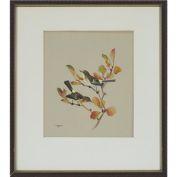 James Fenwick Lansdowne | AUDUBON WARBLER, 1958 (1958) | MutualArt