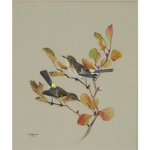 James Fenwick Lansdowne | AUDUBON WARBLER, 1958 (1958) | MutualArt
