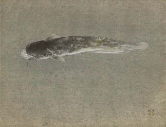 Koichi Takeuchi | Catfish | MutualArt