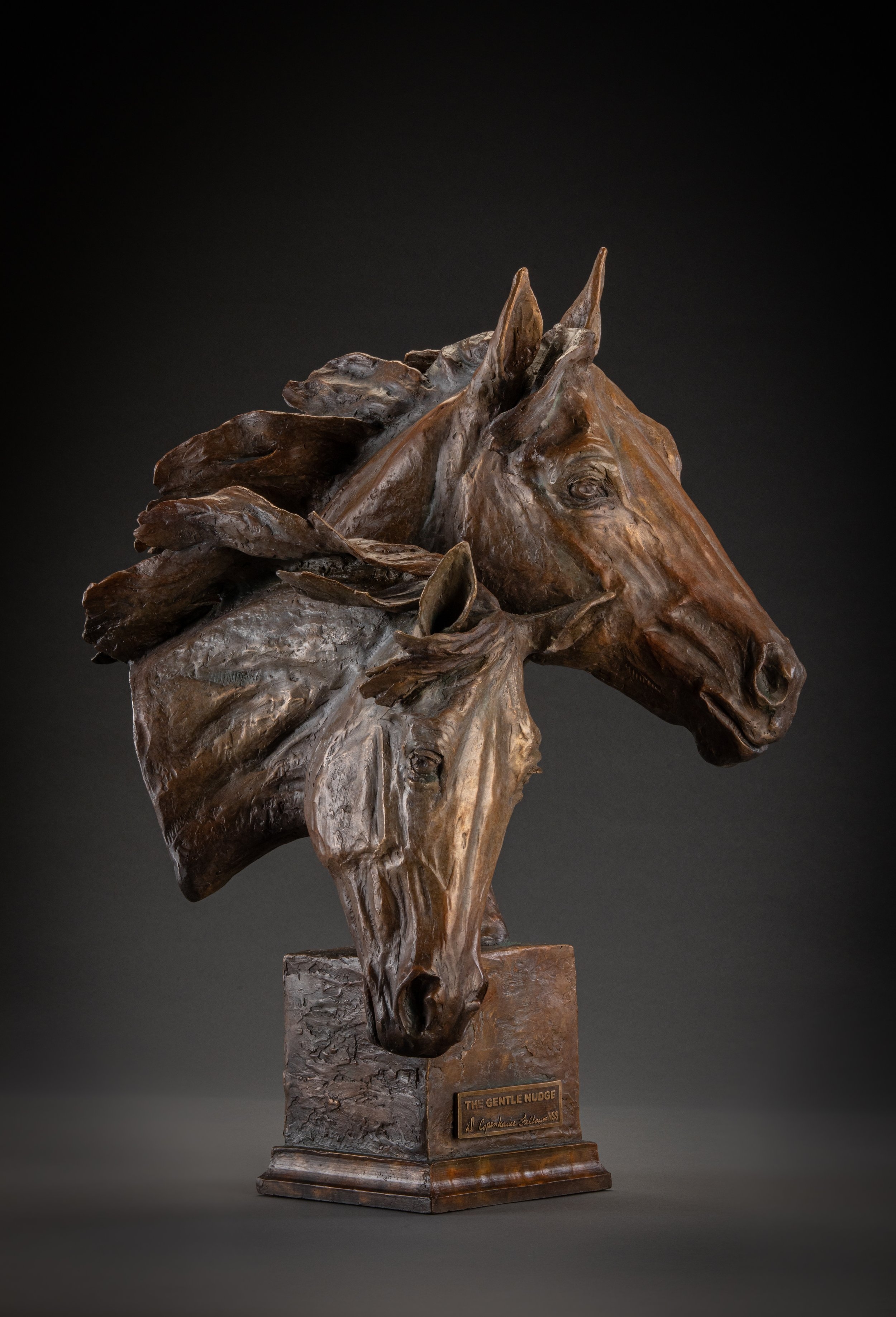 Deborah Copenhaver Fellows | Gentle Nudge | MutualArt