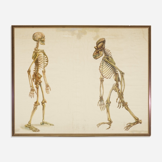 German School, 19th Century | evolution chart | MutualArt