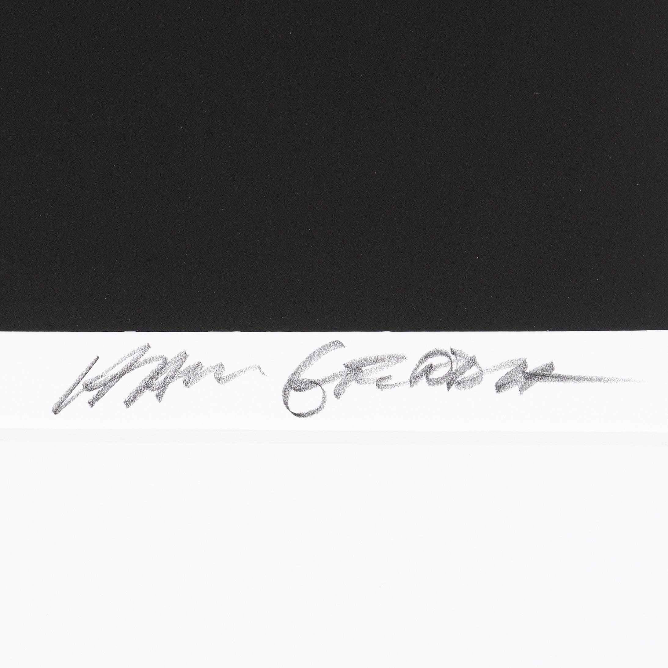 Hans Gedda | Kung Carl XVI Gustafs hand (1996) | MutualArt