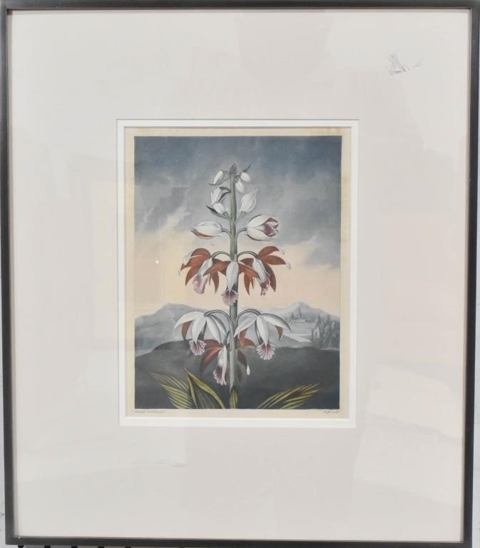 Robert Thornton Wilding | Florals | MutualArt