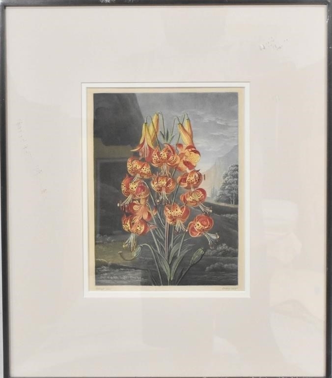 Robert Thornton Wilding | Florals | MutualArt