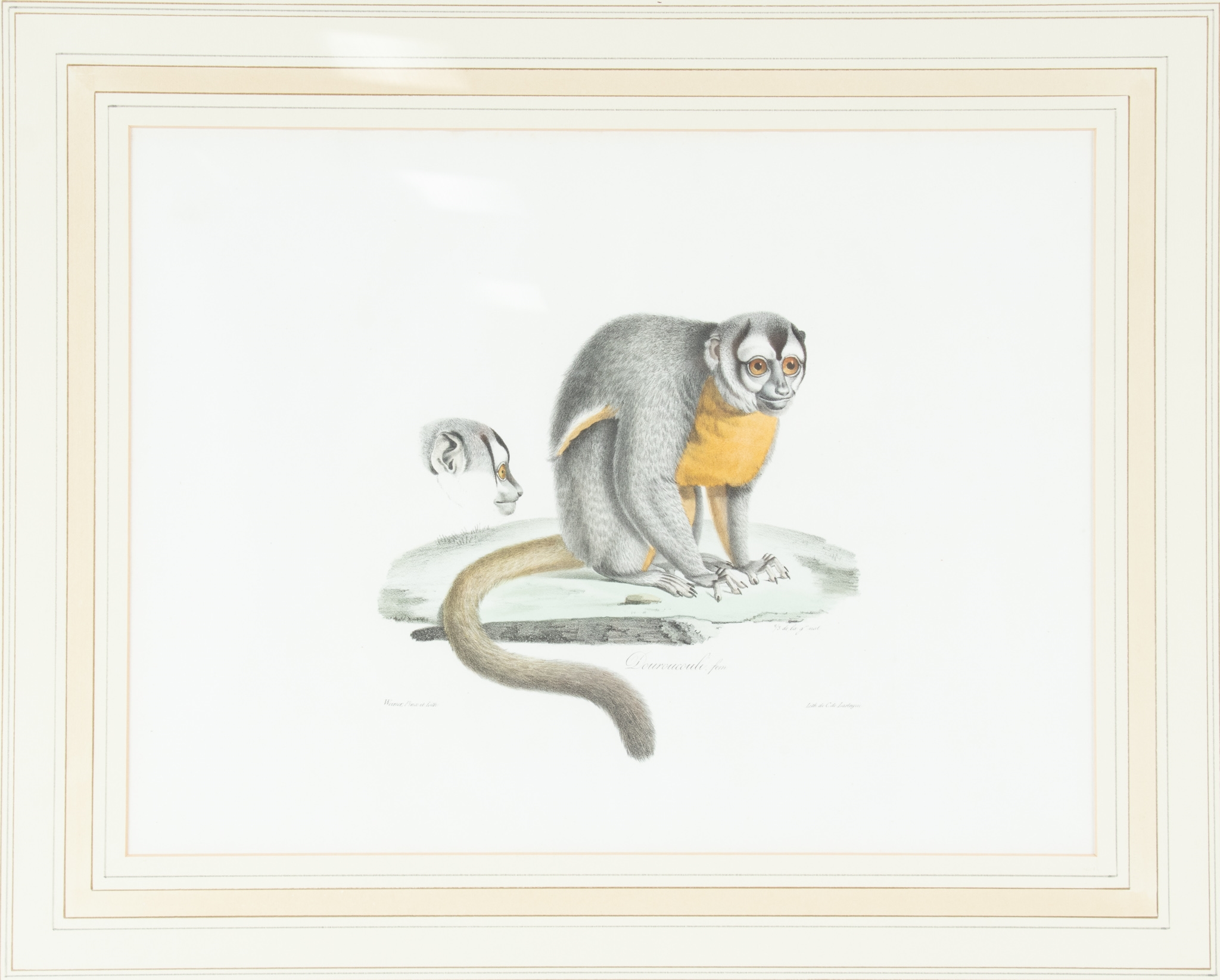 Jacques Christophe Werner | SIMIAN STUDIES | MutualArt