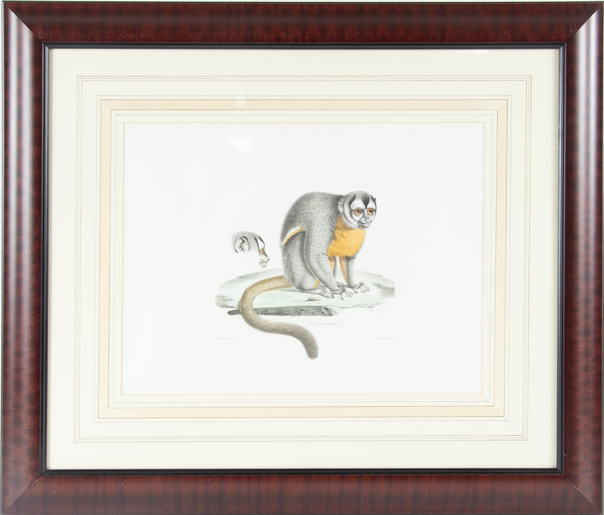 Jacques Christophe Werner | SIMIAN STUDIES | MutualArt
