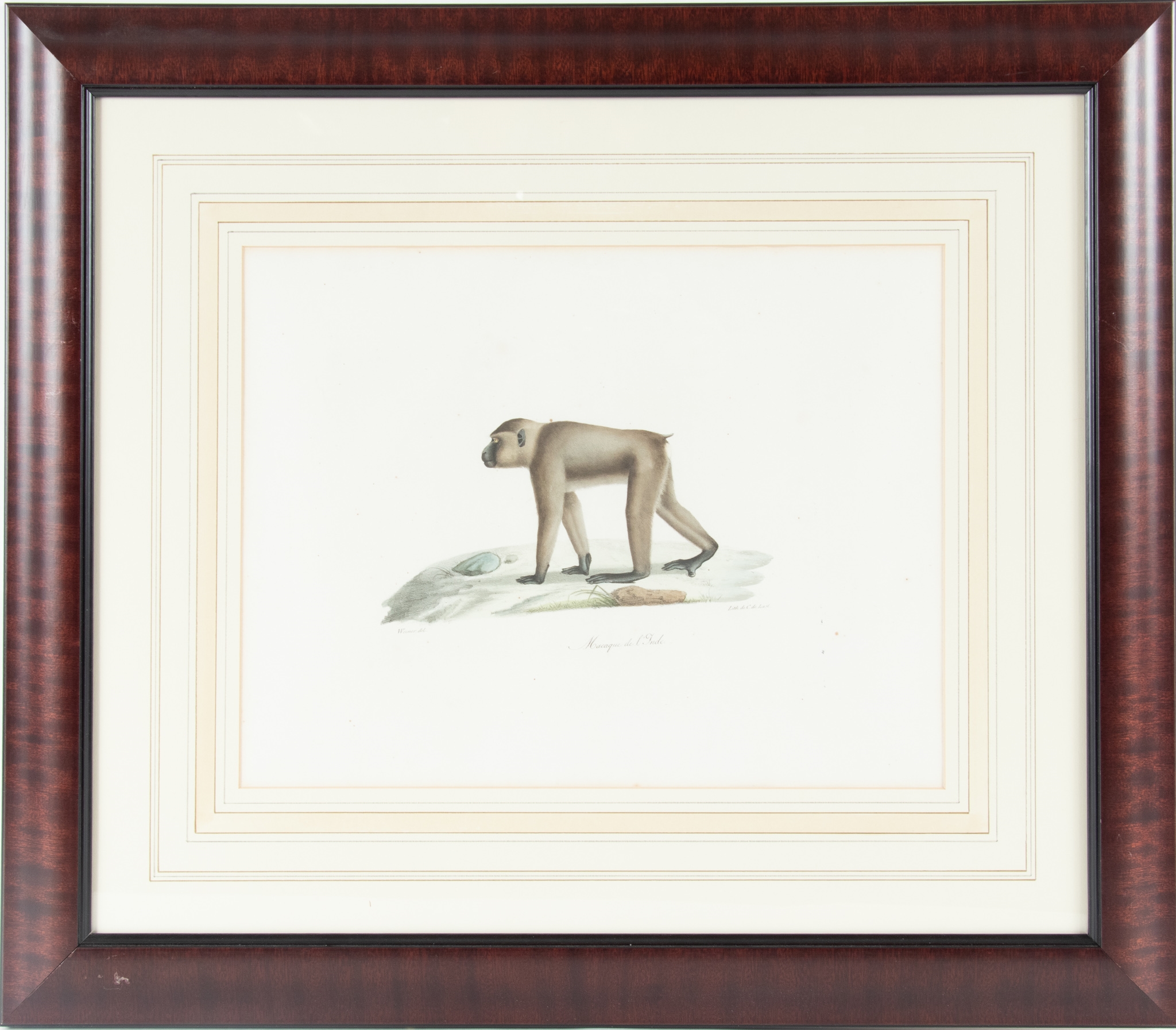 Jacques Christophe Werner | SIMIAN STUDIES | MutualArt